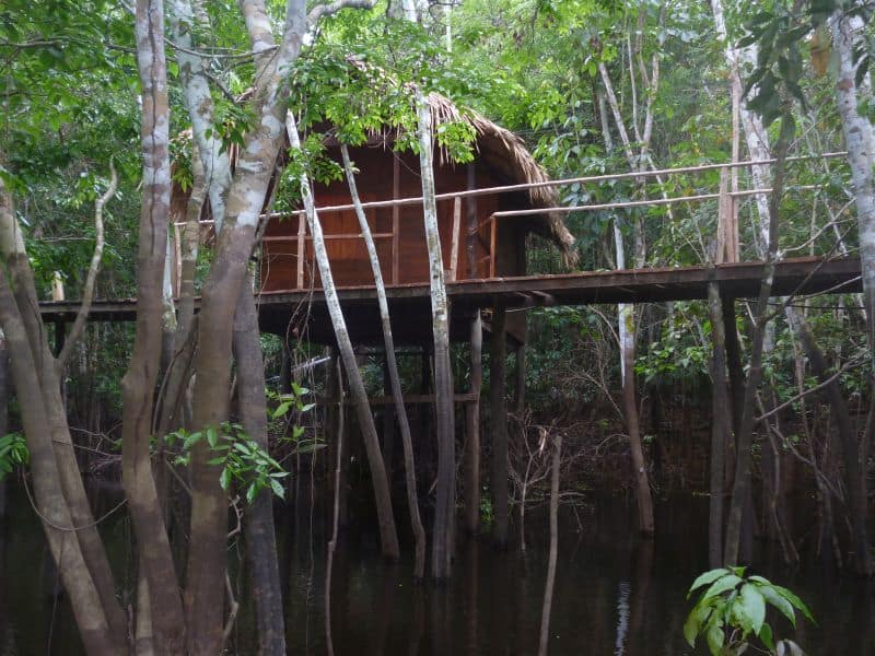 Dolphin Amazonas Lodge - Nachhaltig und familiär | GloboTur