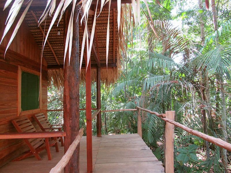 Dolphin Amazonas Lodge - Nachhaltig und familiär | GloboTur